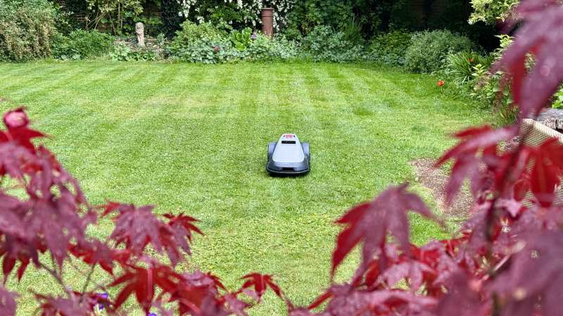 I tested the Eufy E15 robot lawn mower, and it's so easy to use even ...